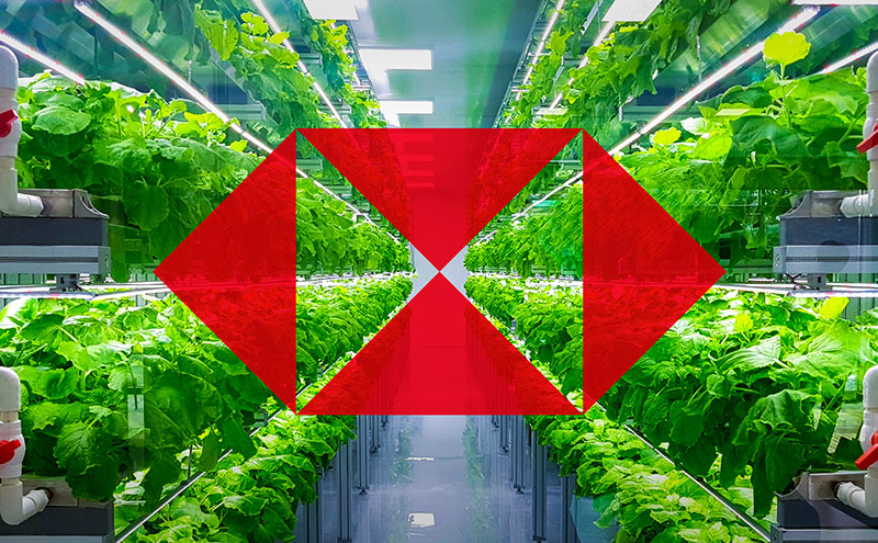 News und Presse - Über HSBC | HSBC Deutschland